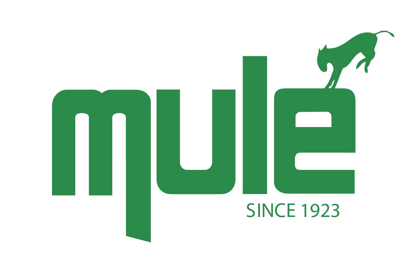 About Us | Mule Lighting